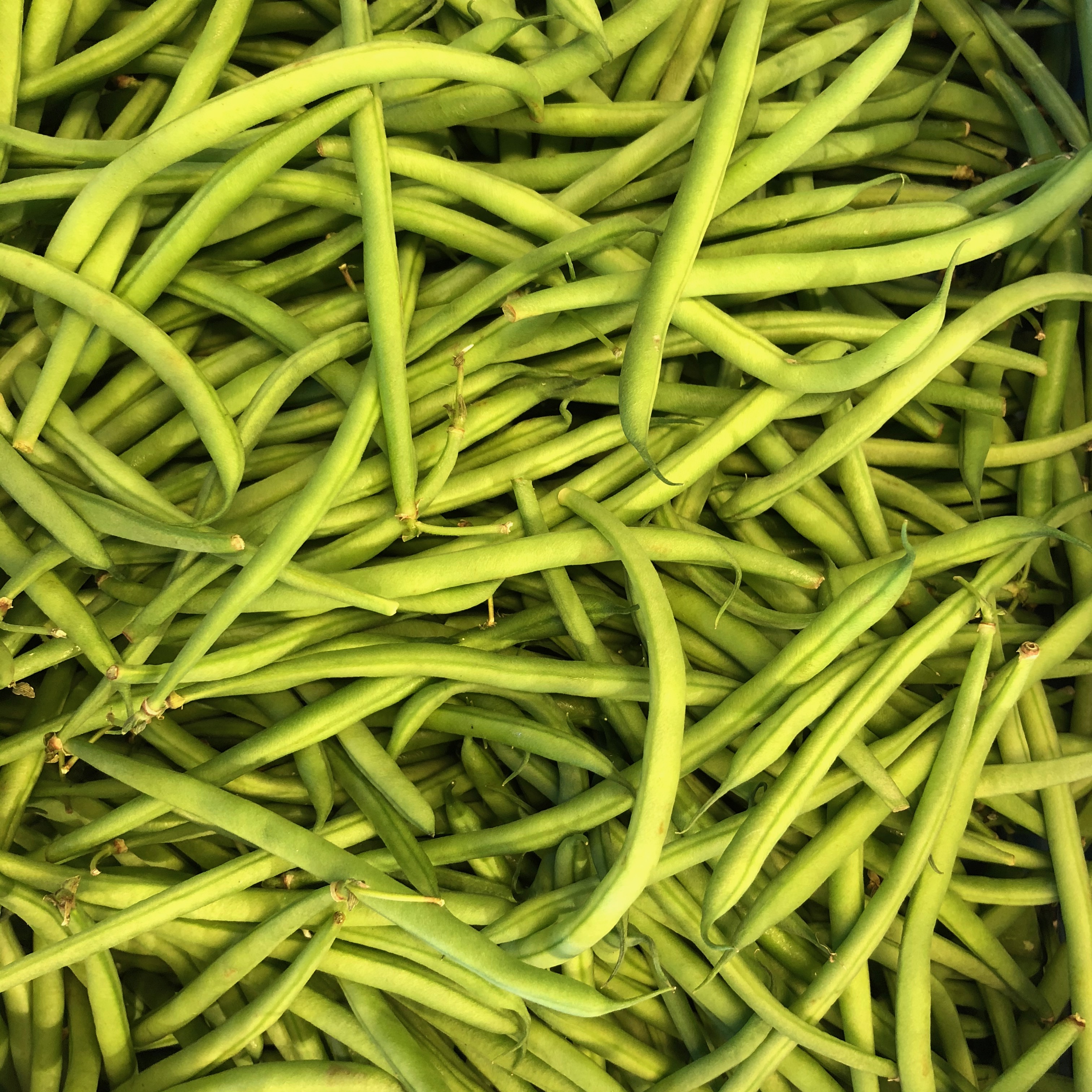 Haricots verts vrac - d'ici