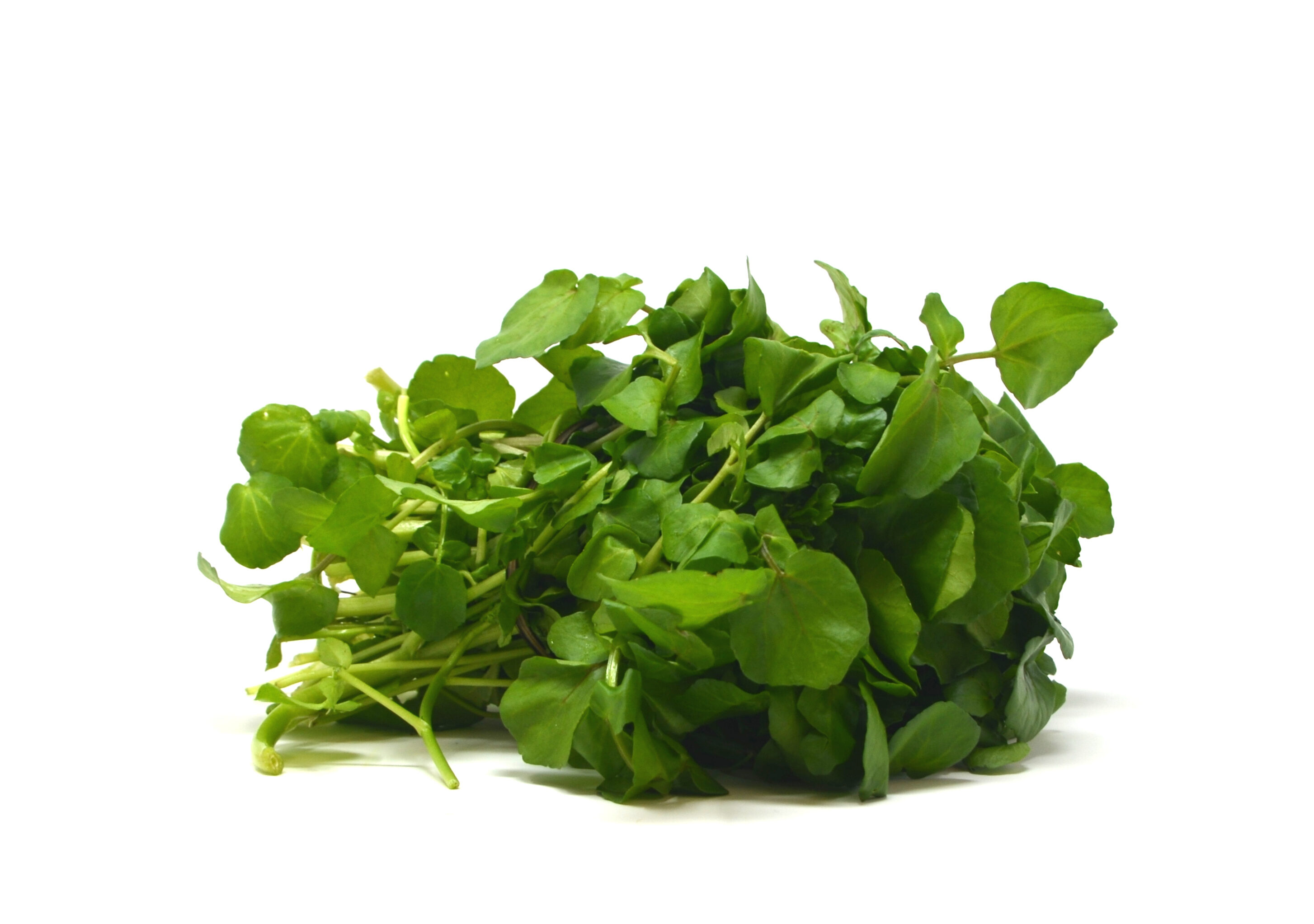 Cresson botte - d'ici